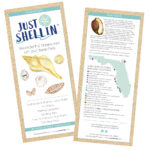 SHELL GUIDE - Just Shellin
